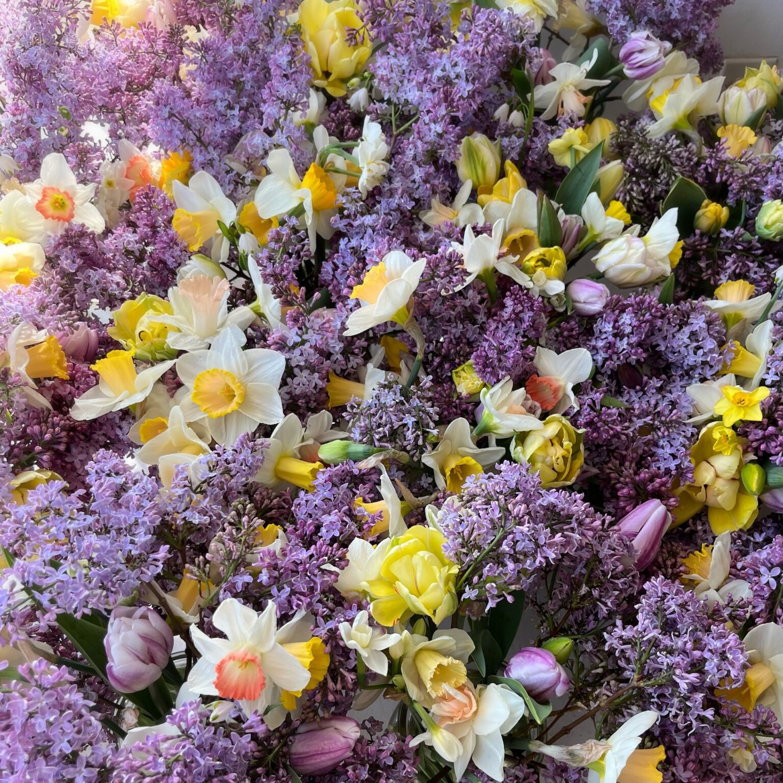 Late Spring Flower Subscription - Cornelia McNamara Flowers