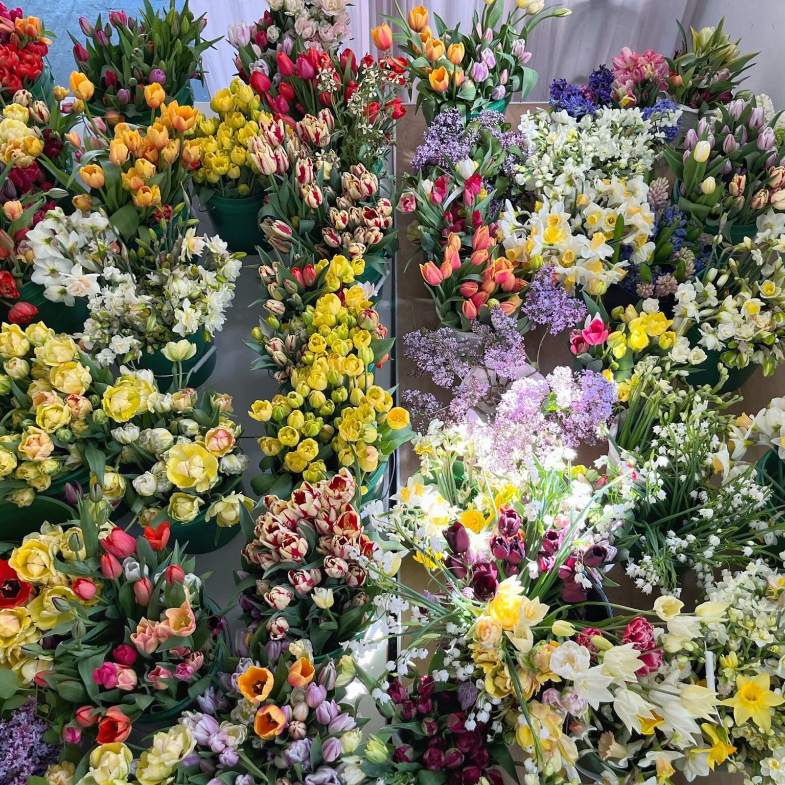 Late Spring Flower Subscription - Cornelia McNamara Flowers